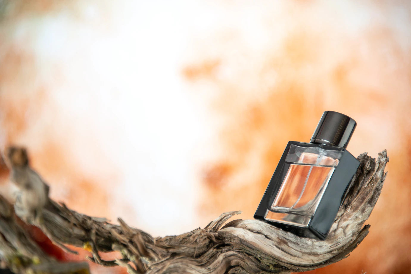 L'importance de bien conserver son parfum – label-ethyl